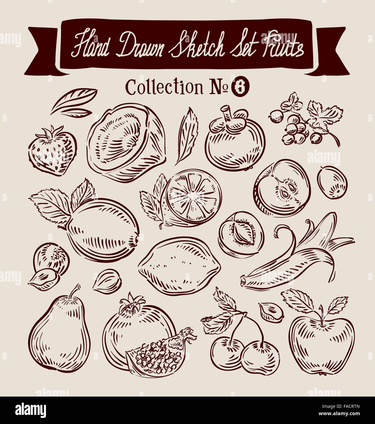 Hand drawn doodle set fruit. Vector illustration Stock Vector Image ...