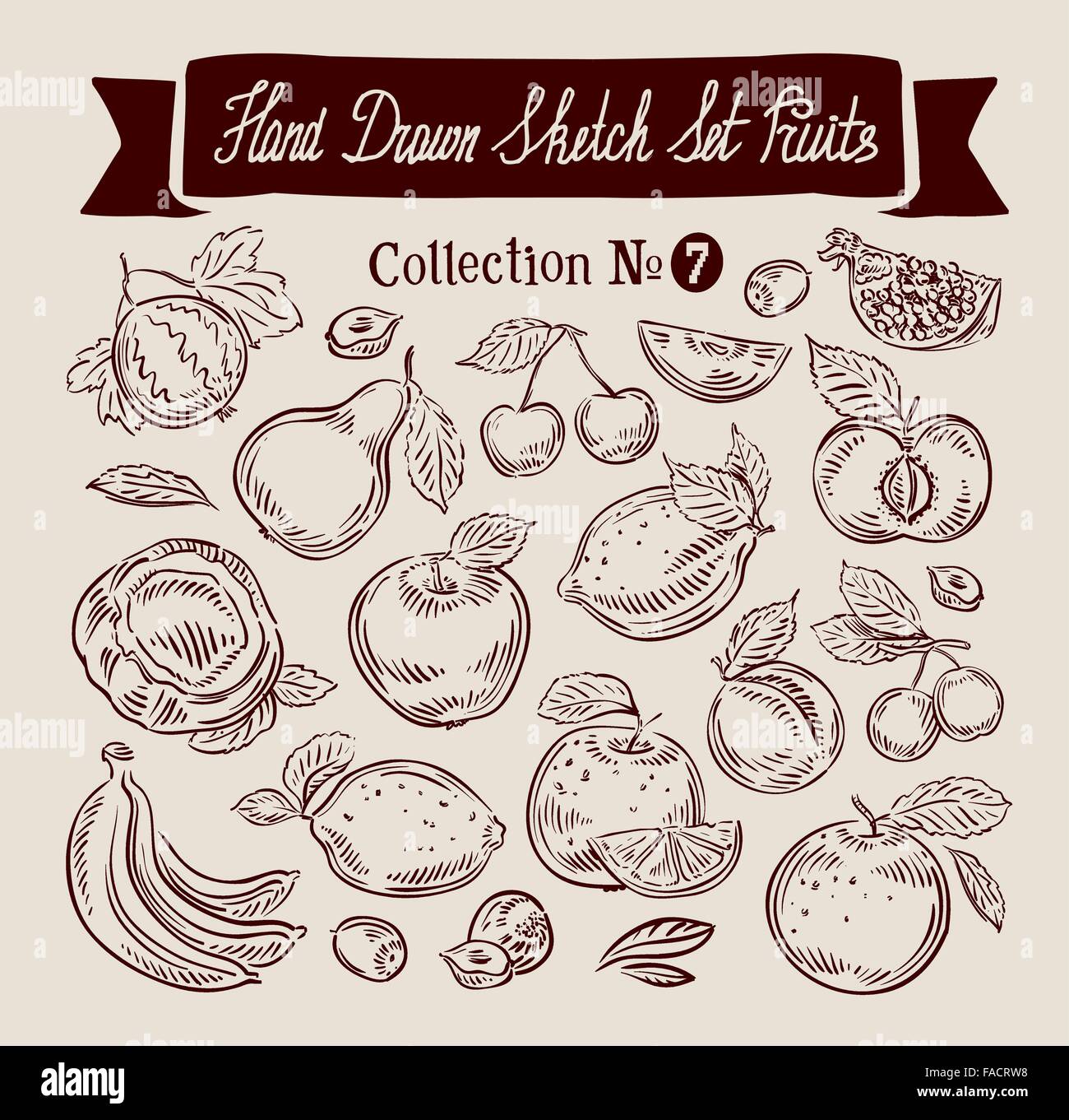Fruit. Hand drawn sketch set vector illustration Stock Vector Image ...