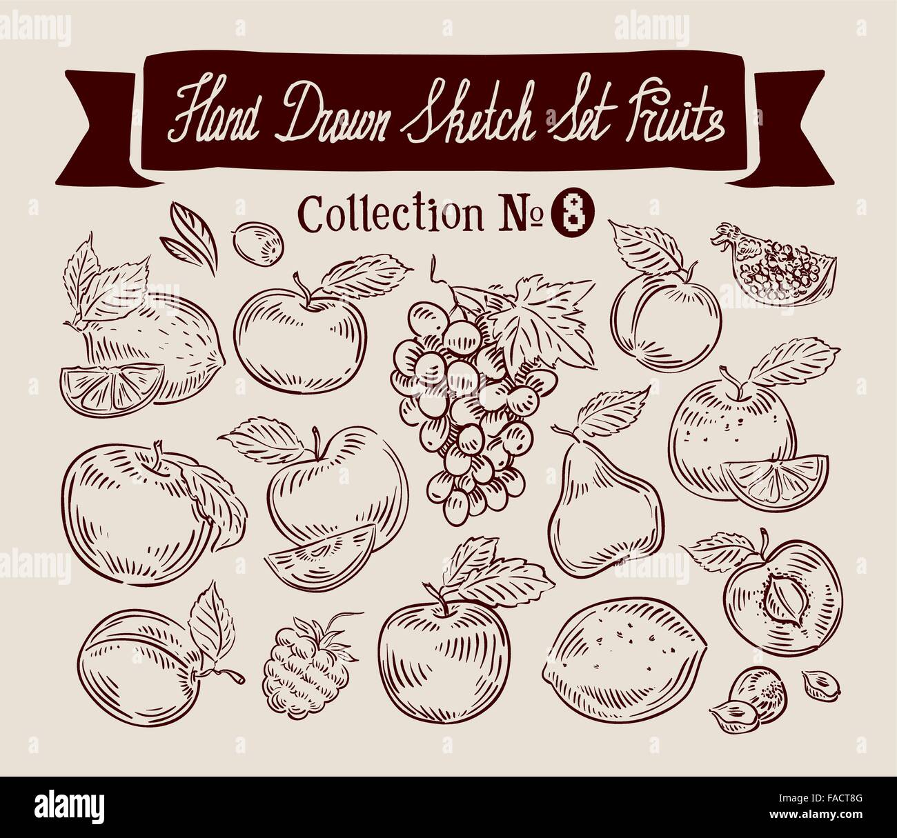 Fruits. Hand drawn sketch set vector illustration Stock Vector Image ...