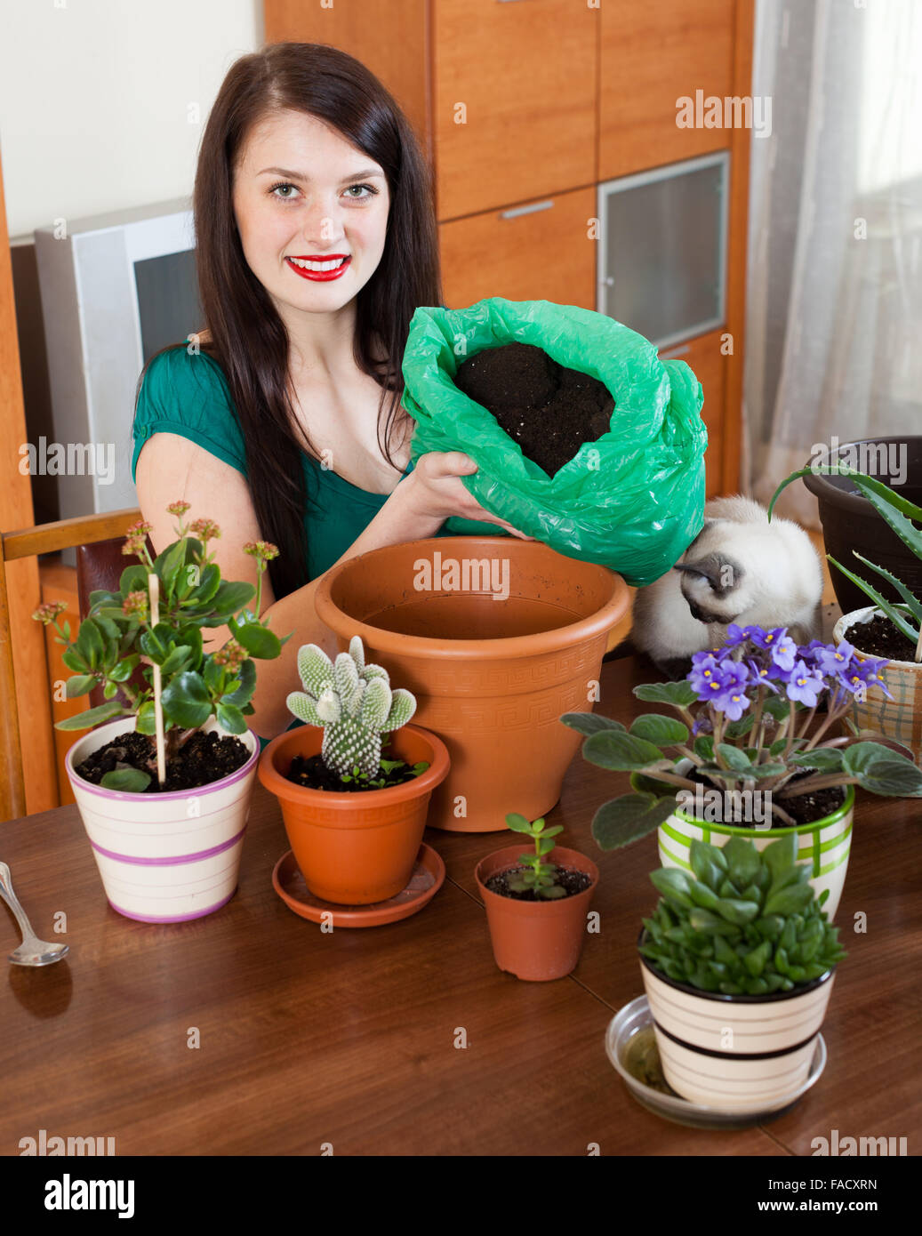 Brunette girl transplanting potted flowers at table in home Stock Photo ...
