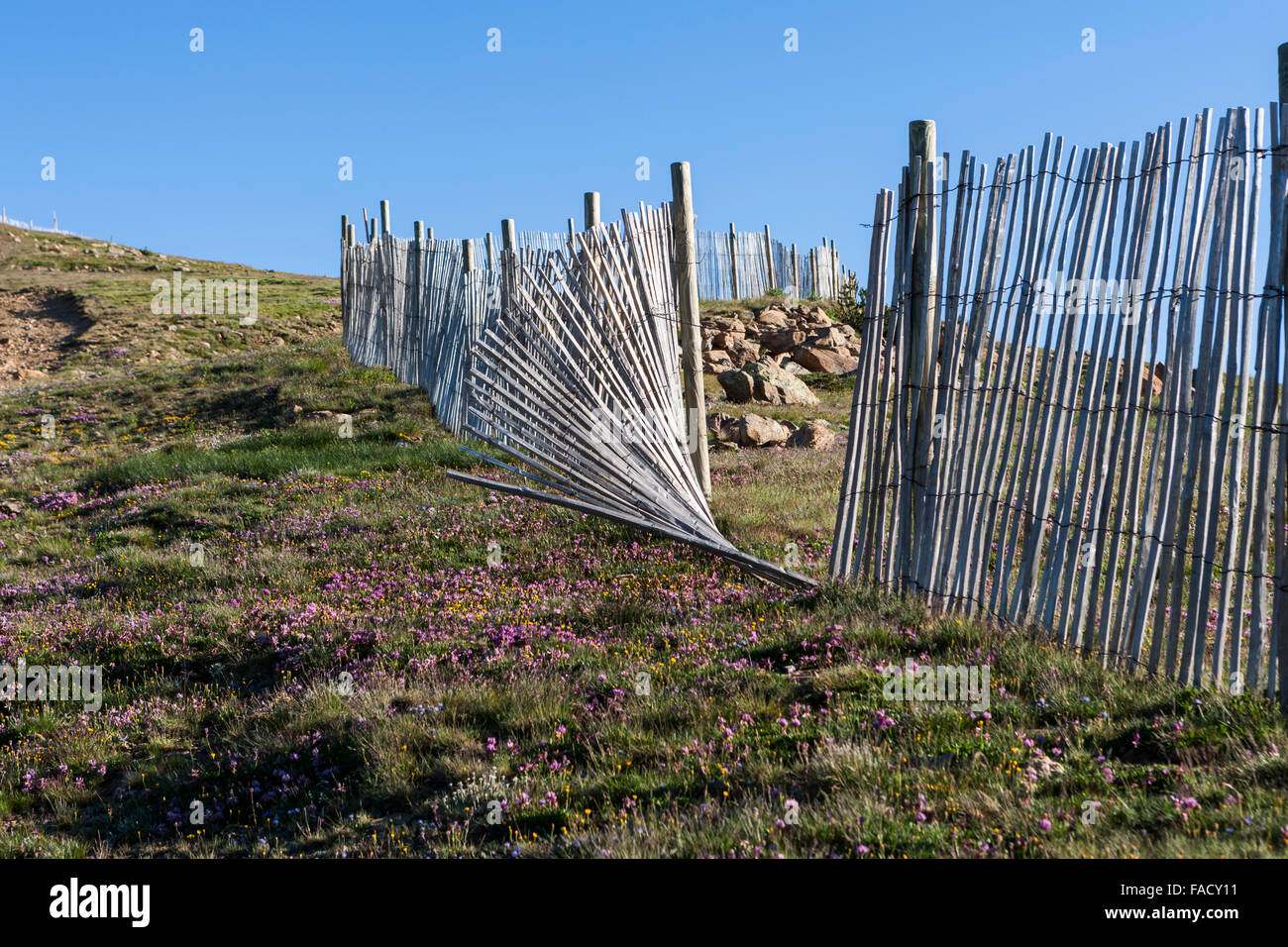 Broken fence hole hi-res stock photography and images - Alamy