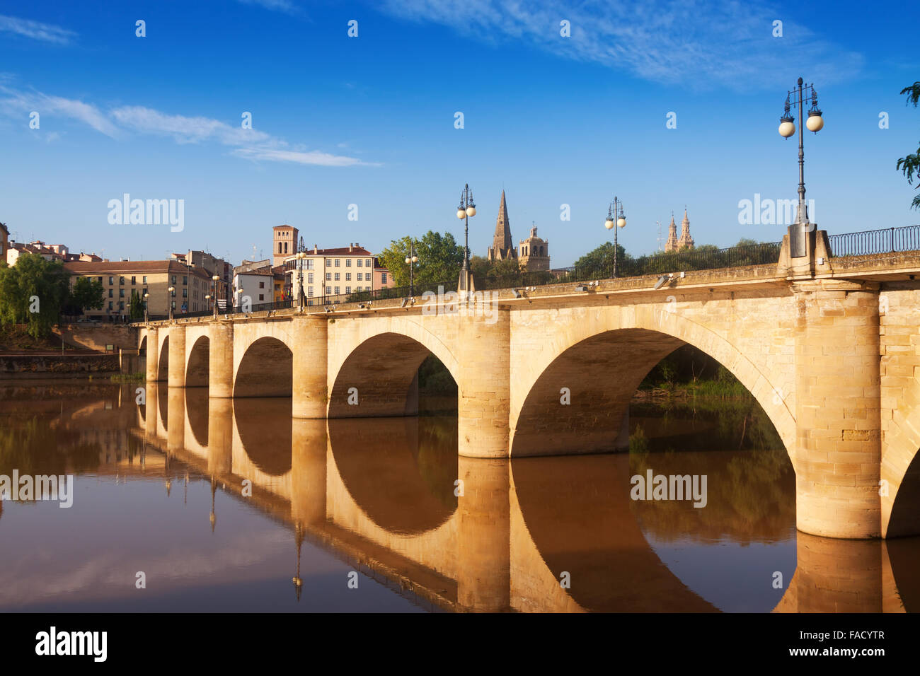 Puente da Piedra over Ebro. Logrono, Spain Stock Photo - Alamy