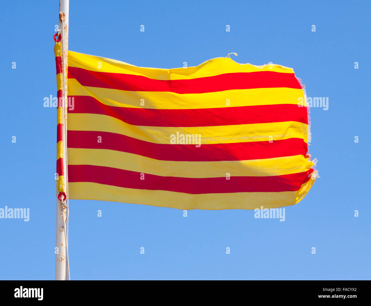 Catan flag in flight against blue sky Stock Photo - Alamy