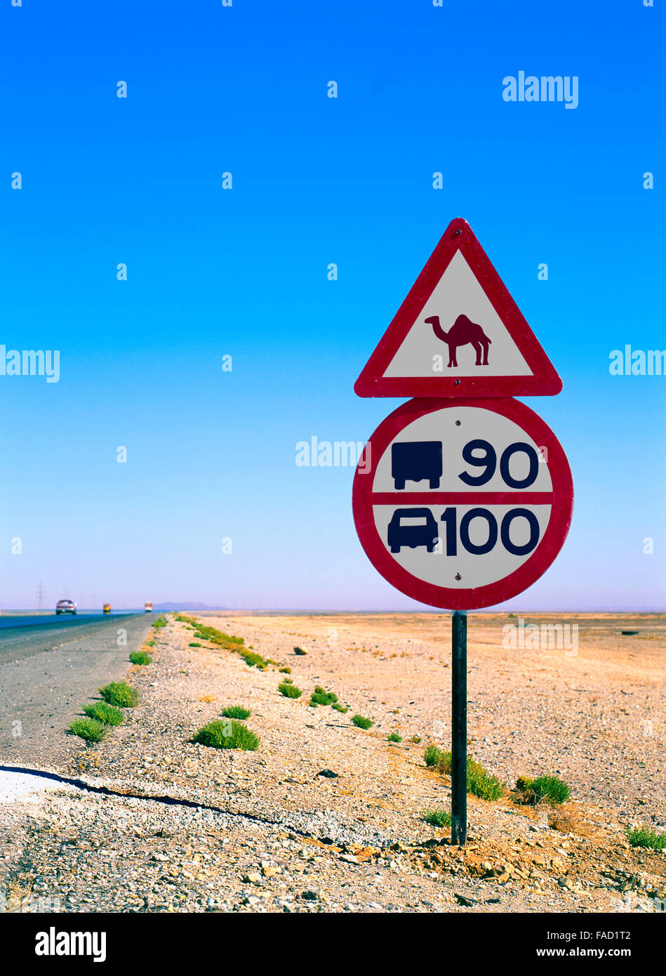 Camel road sign hi-res stock photography and images - Alamy