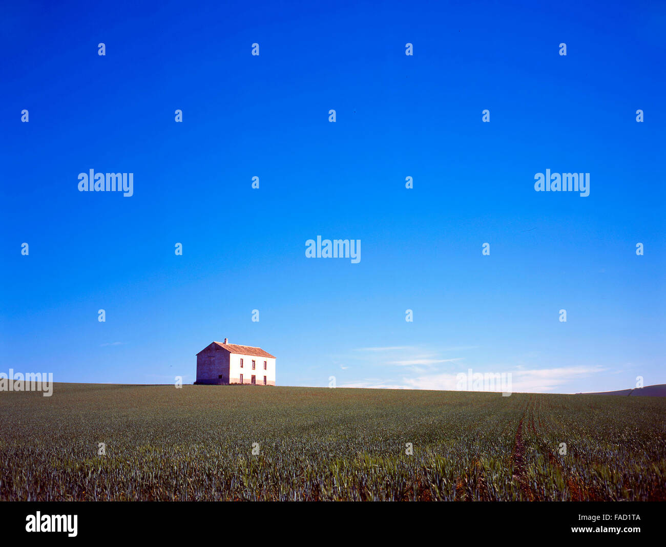 Secluded house in the Spanish countryside. Space for text. Real estate ...
