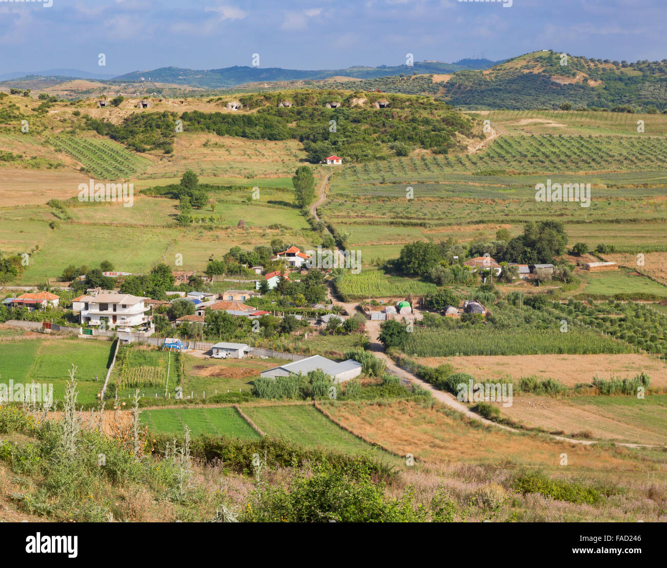 Apollonia, or Apoloni, Fier Region, Albania. Typical countryside viewed ...