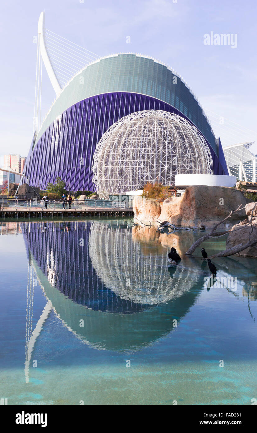 Valencia, Spain. The City of Arts and Sciences. L'Àgora Stock Photo - Alamy