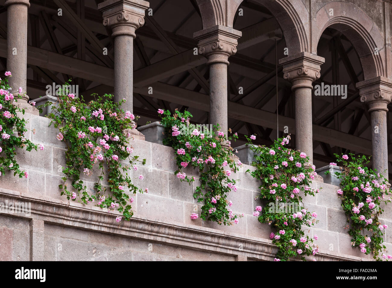 flowers and columns in an old monastery Stock Photo - Alamy