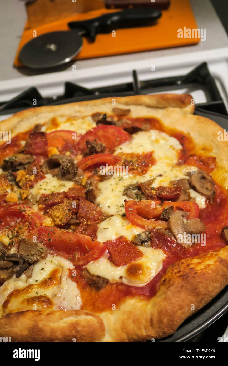 Home Cooked Pizza Close -Up, USA Stock Photo - Alamy