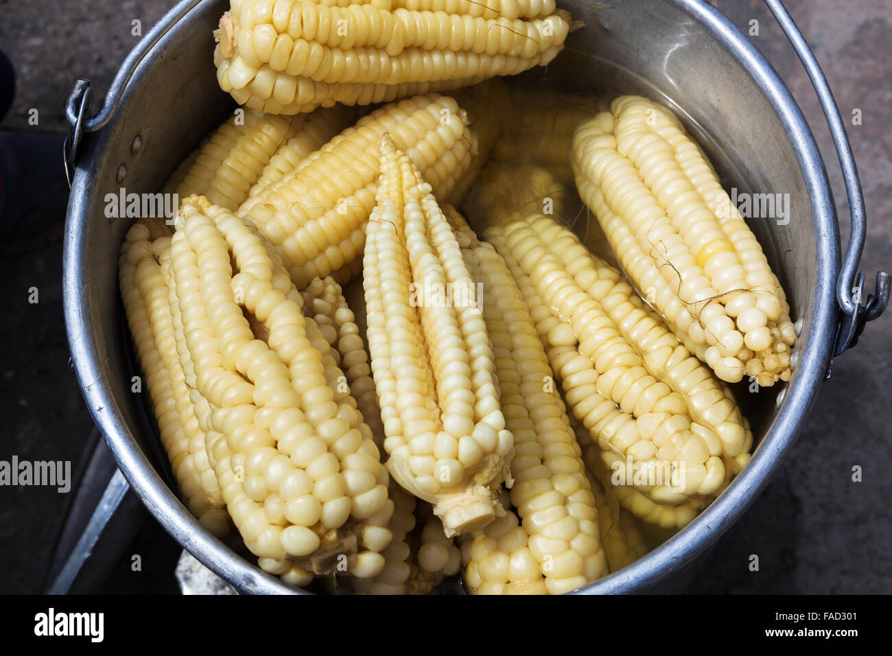 boiled corn in a metal bucket Stock Photo - Alamy