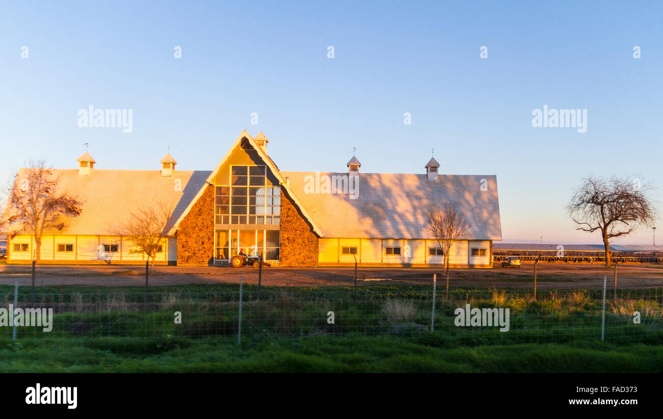 Fancy cattle hi-res stock photography and images - Alamy