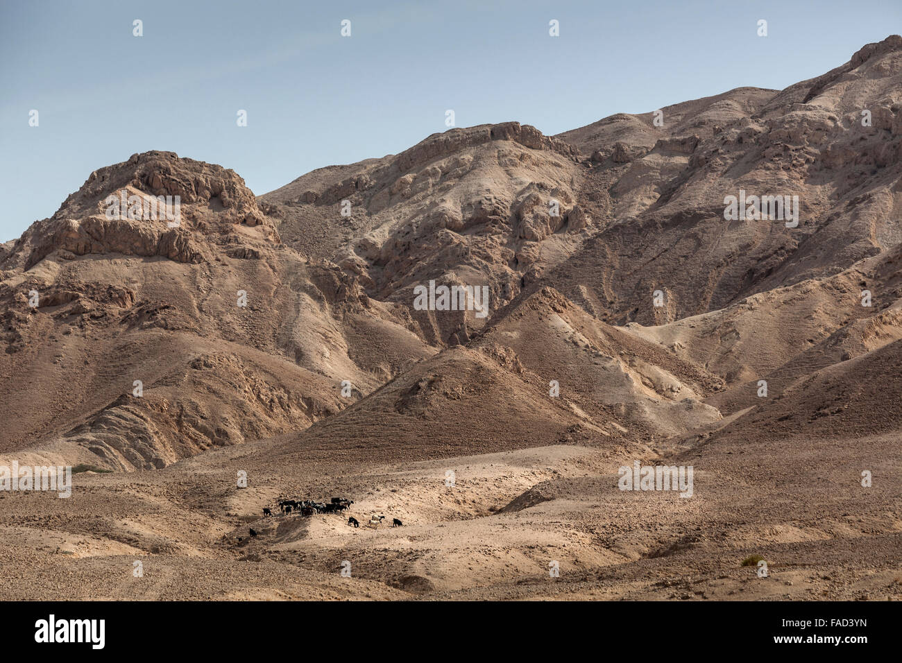 Along the Dead Sea Highway, Jordan Stock Photo - Alamy