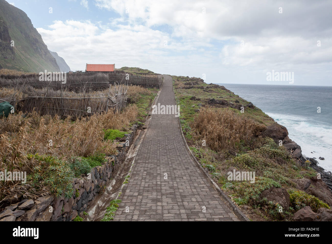 The main path at Fajãs do Cabo Girão. Achadas da Cruz, Madeira, Madeira ...