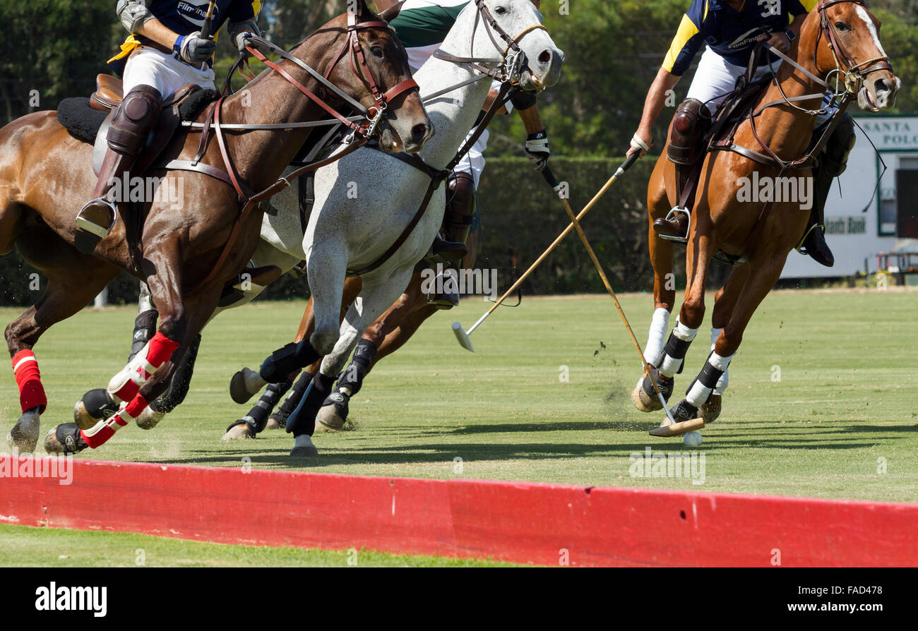 Polo player blocks opponent's shot using the hook technique Stock Photo ...
