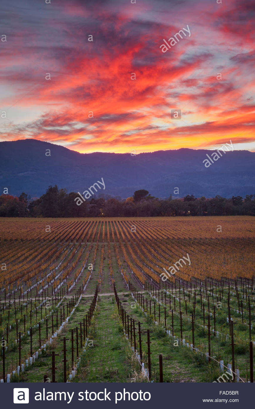 Napa Valley High Resolution Stock Photography and Images - Alamy