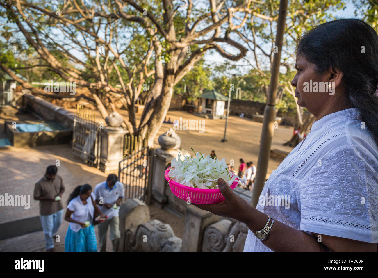 People praying at Sri Maha Bodhi (sacred bodhi tree), Anuradhapura ...