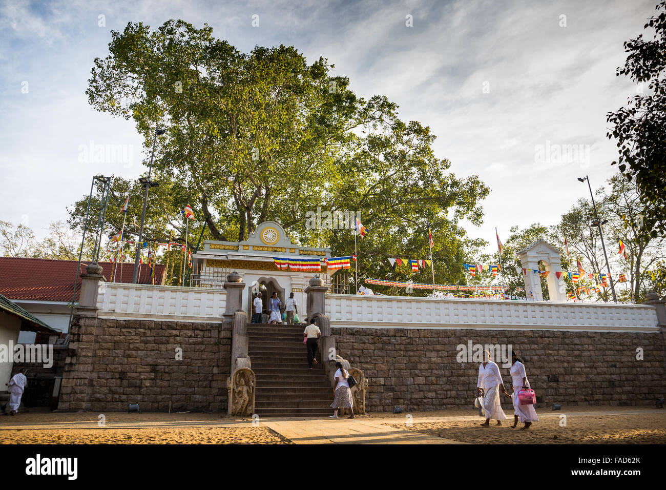 People praying at Sri Maha Bodhi (sacred bodhi tree), Anuradhapura ...