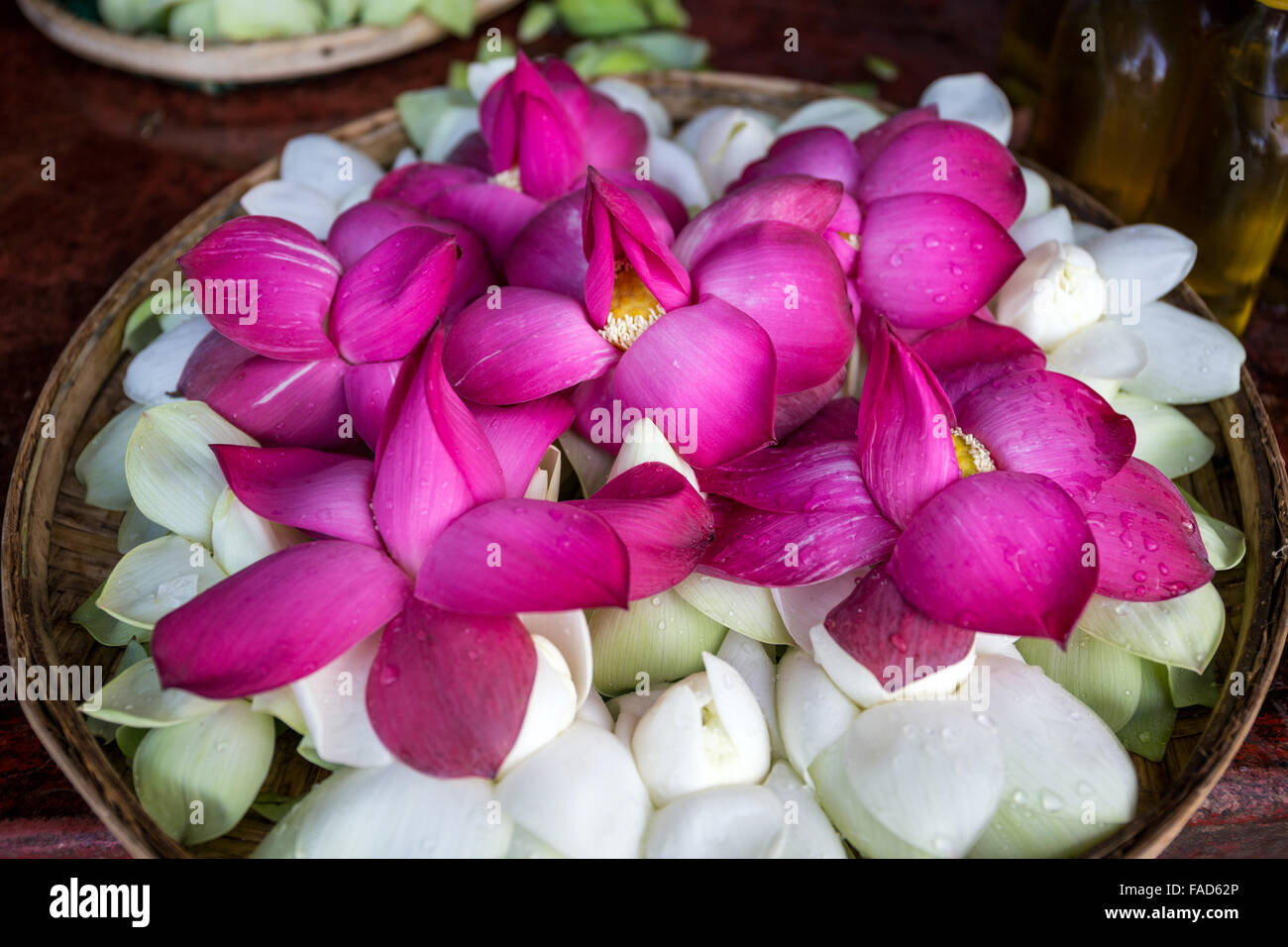 Flower Offerings at Buddhist Temple, Sri Lanka Stock Photo - Alamy