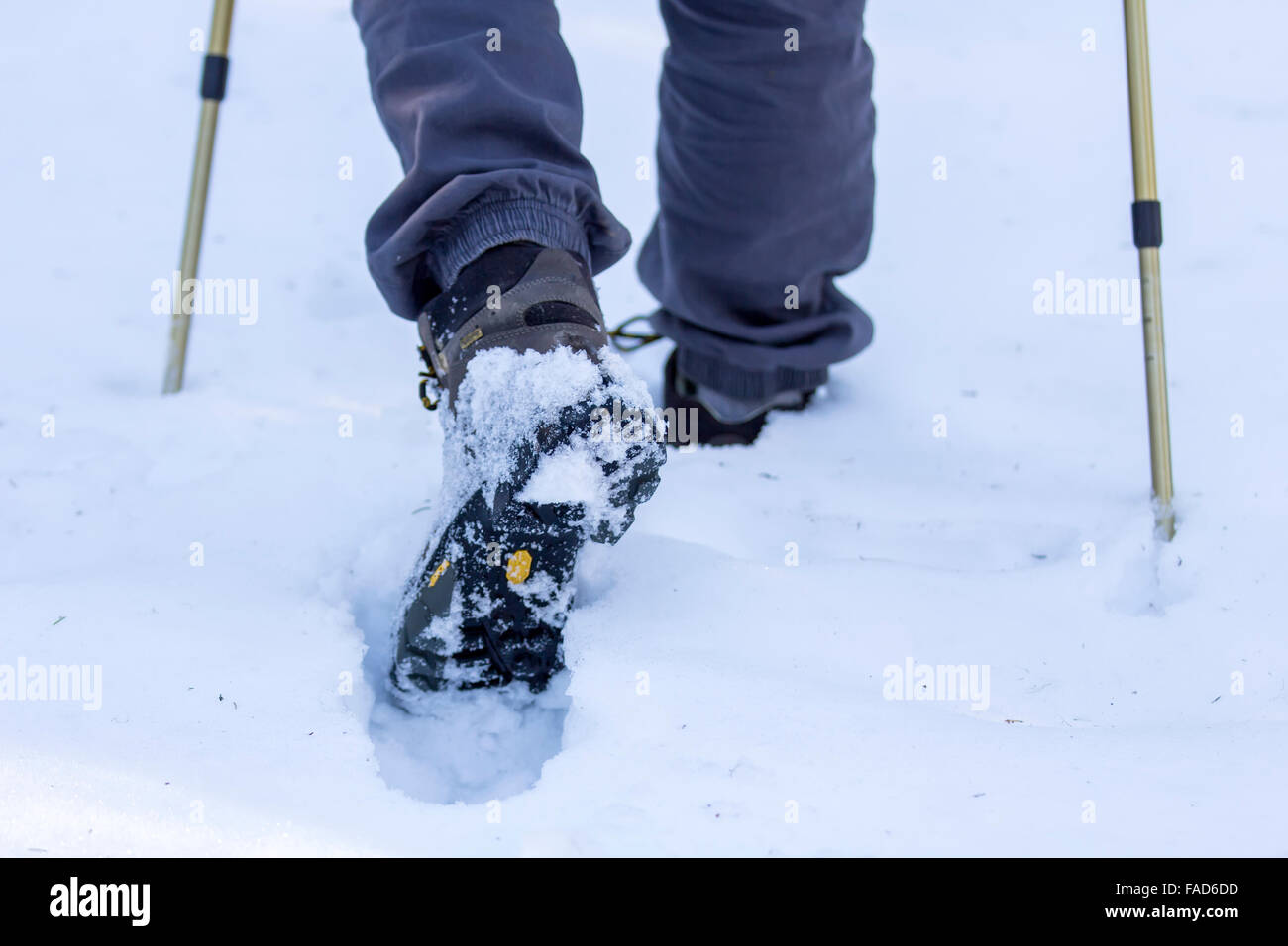 Walking with poles hi-res stock photography and images - Alamy