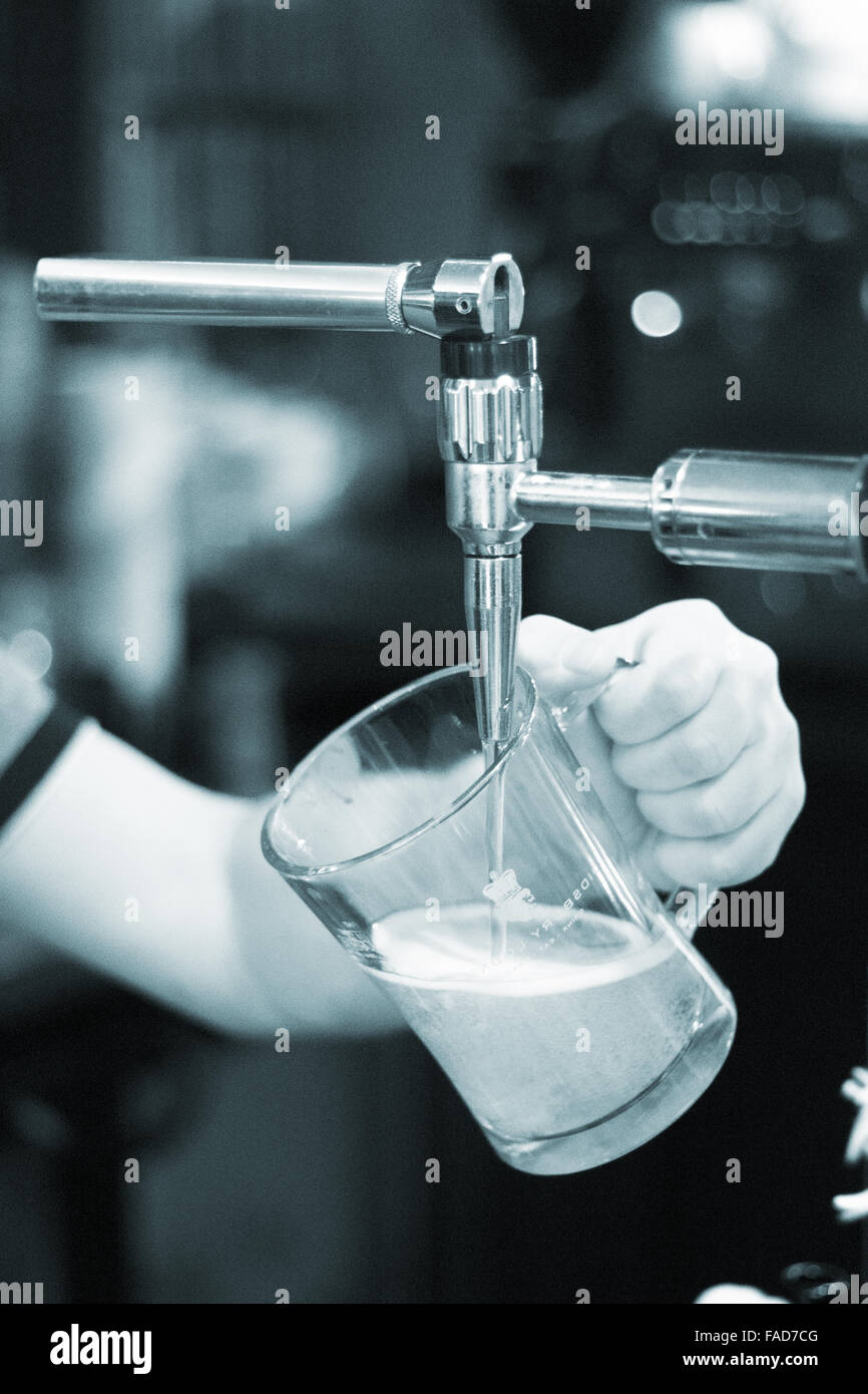 Lager draft beer pump and barman pulling pint of beer into glass in ...