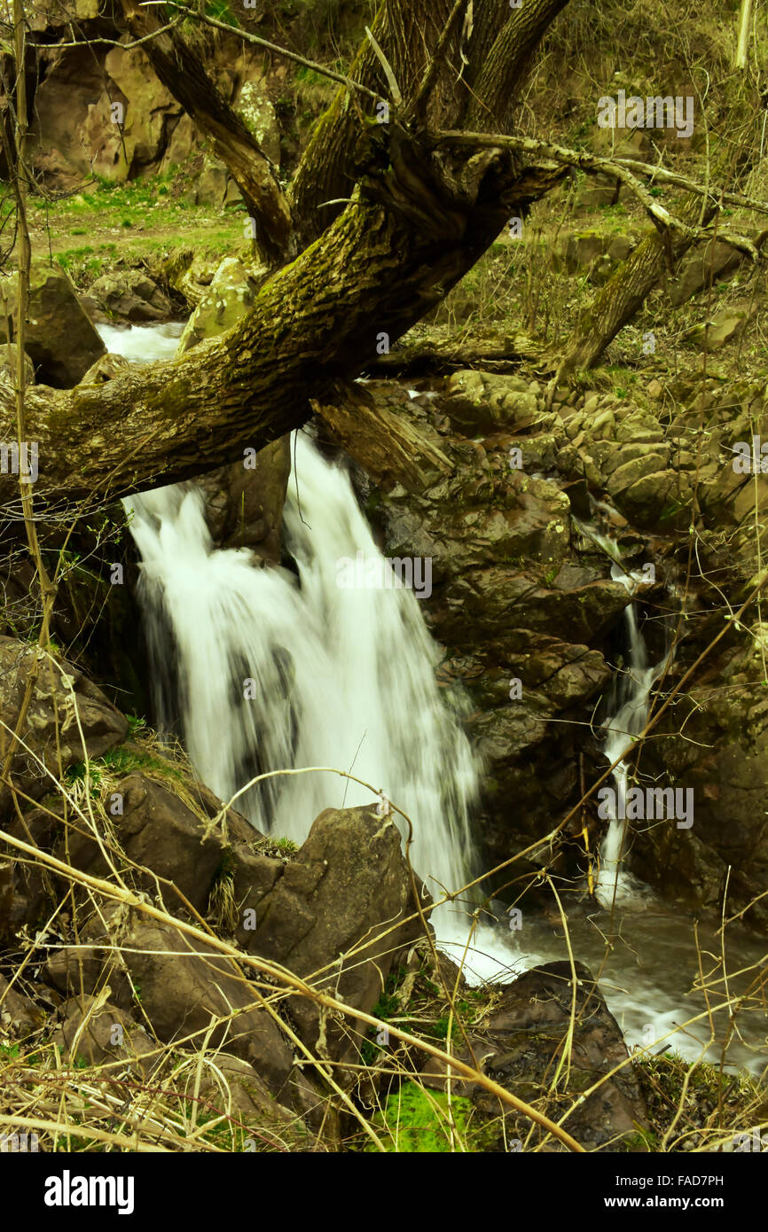 A little waterfall hidden in the trees Stock Photo - Alamy