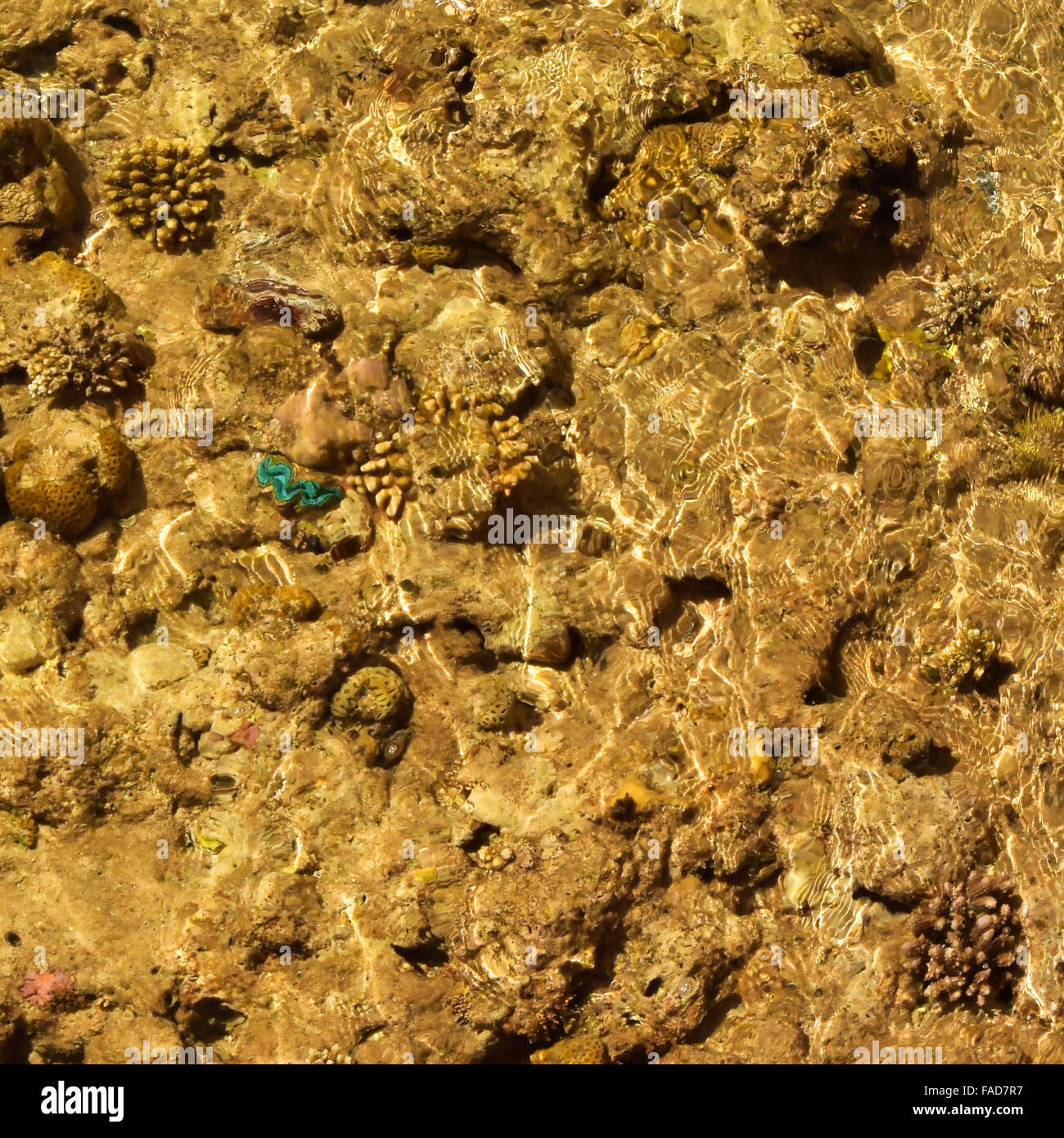 Shell burst hi-res stock photography and images - Alamy