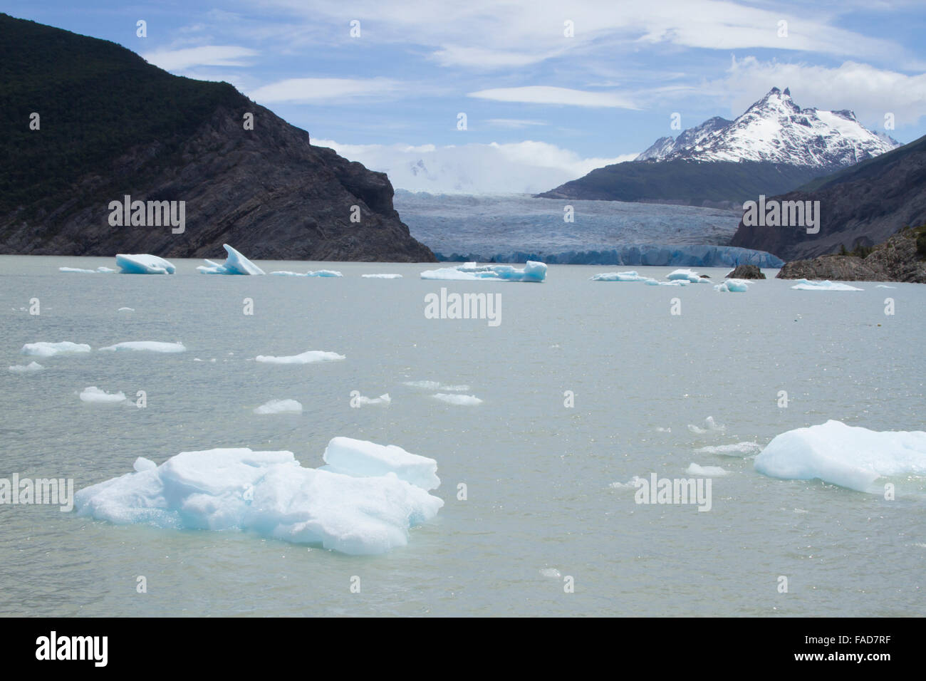 Base of Grey Glacier calving blue icebergs into Grey Lake in Torres del ...