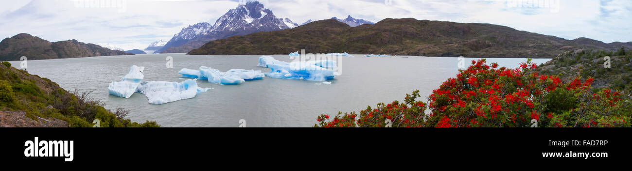 Panorama of Grey Glacier along Grey Lake at foot of Andes mountains in ...