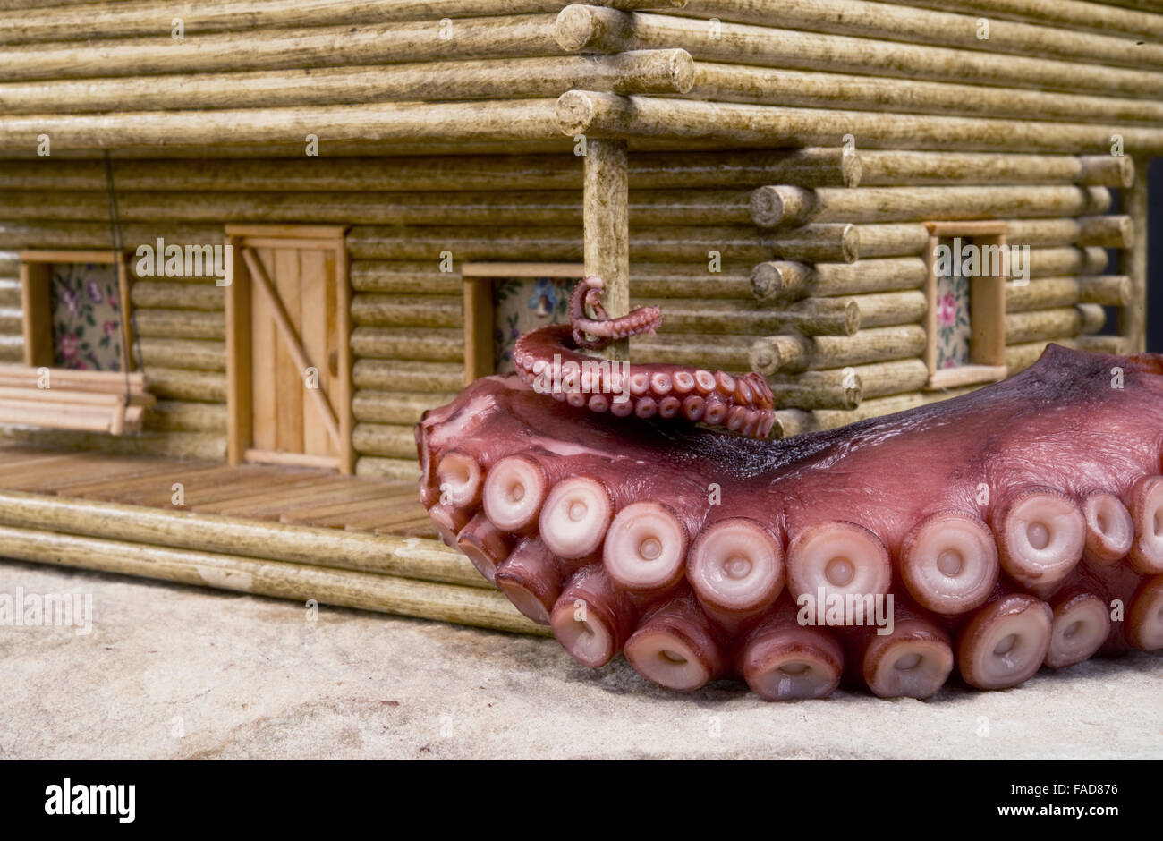 Octopus home hi-res stock photography and images - Alamy