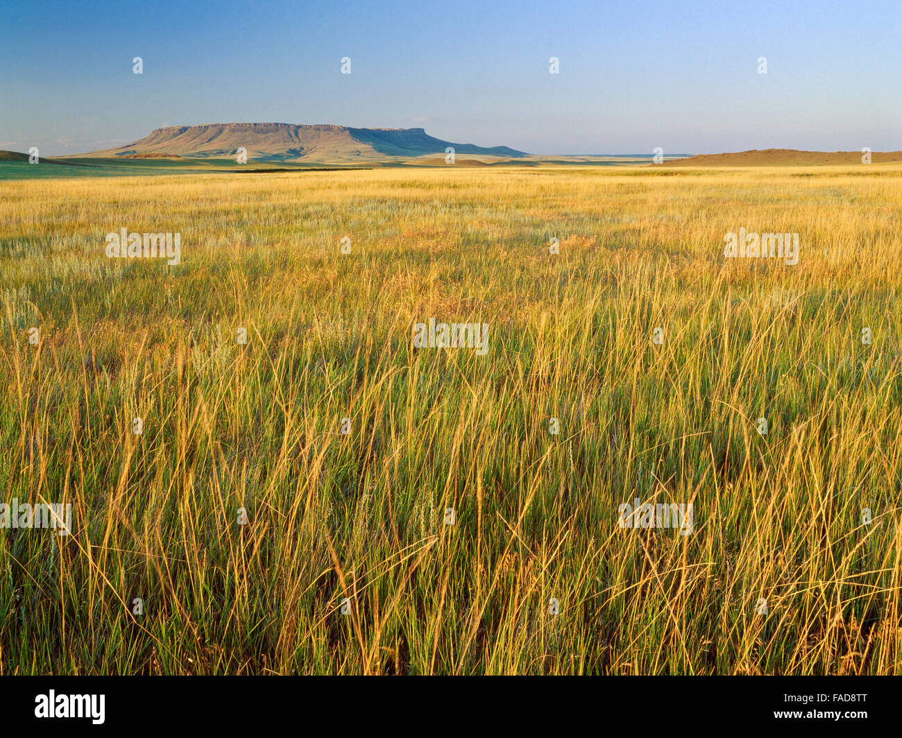 square butte above the vast prairie near cascade, montana Stock Photo ...