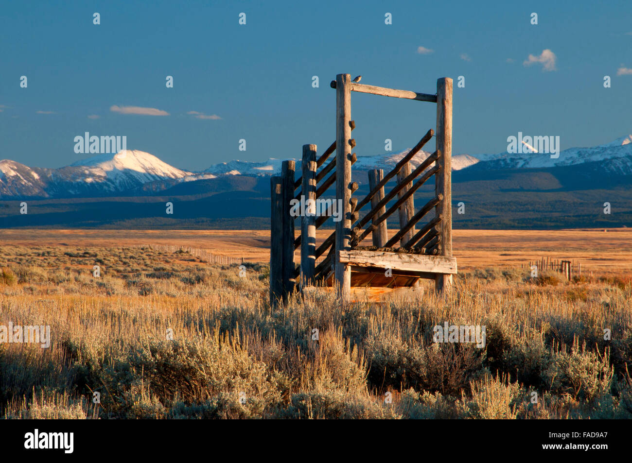 Beaverhead ranch hi-res stock photography and images - Alamy