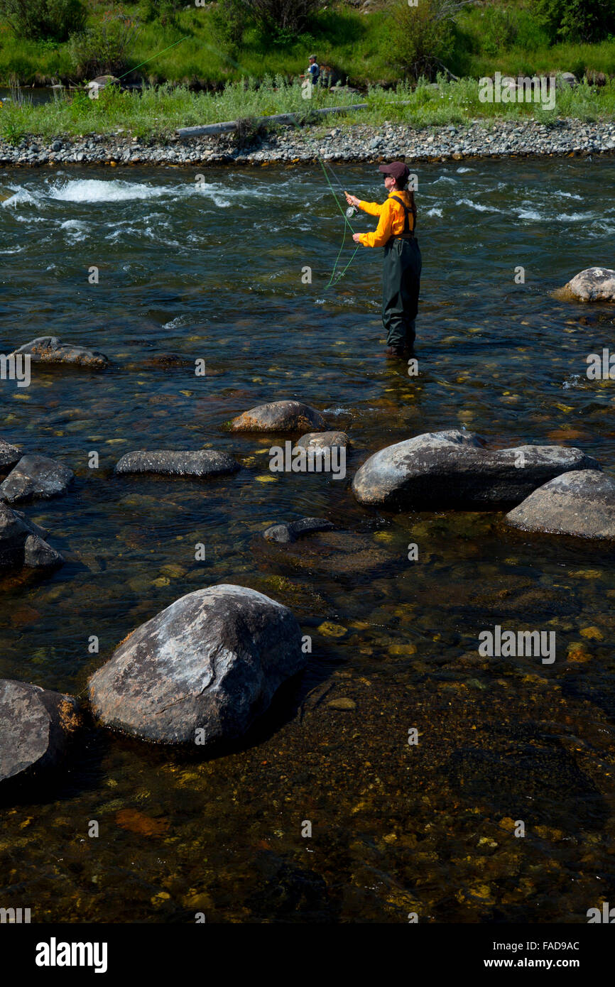 Madison River flyfishing, Three Dollar Bridge Fishing Access Site ...