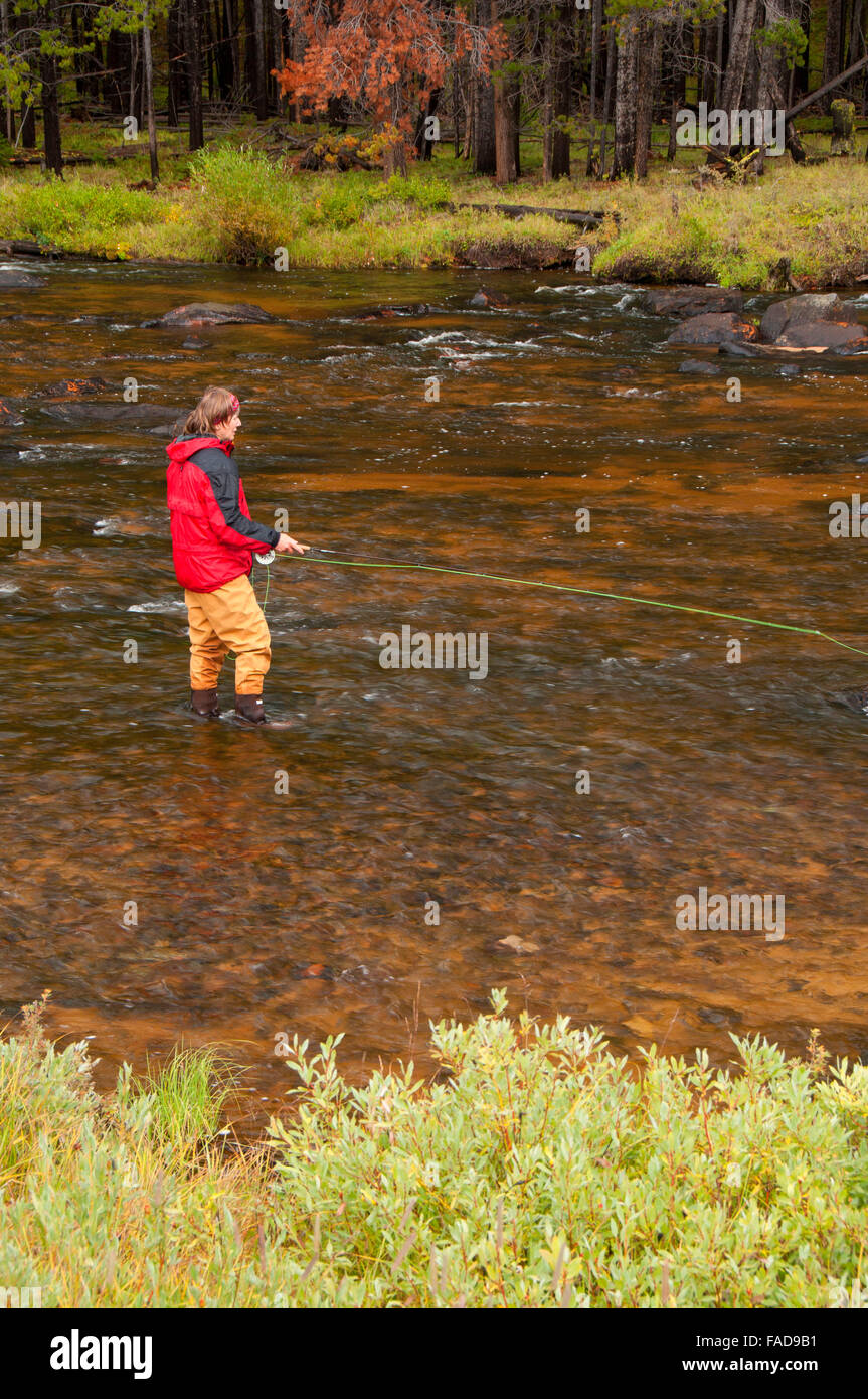 Wise River flyfishing, Pioneer Mountains National Scenic Byway ...