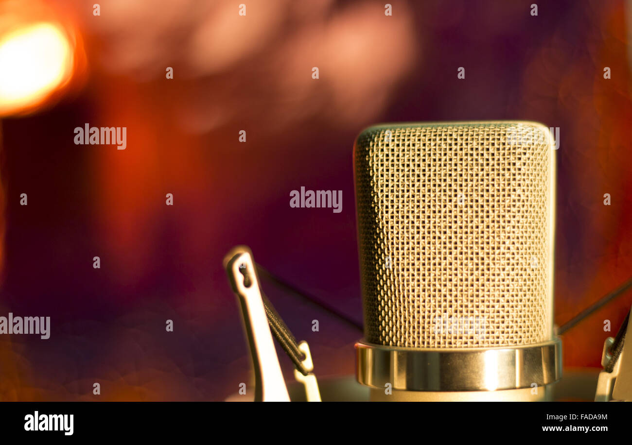 Audio recording vocal studio voice microphone with anti shock mount and ...