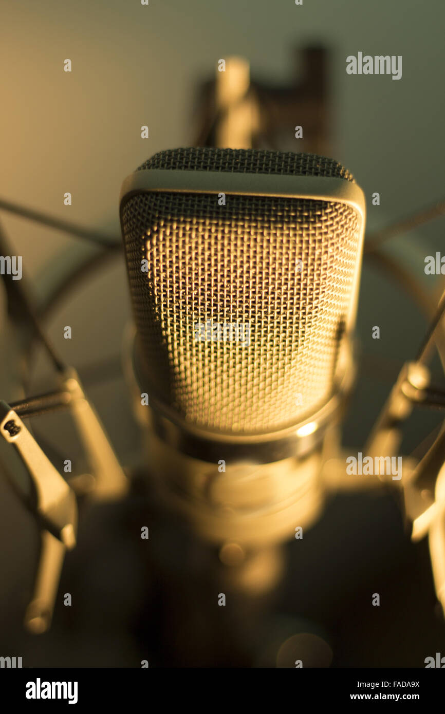 Audio recording vocal studio voice microphone with anti shock mount and ...