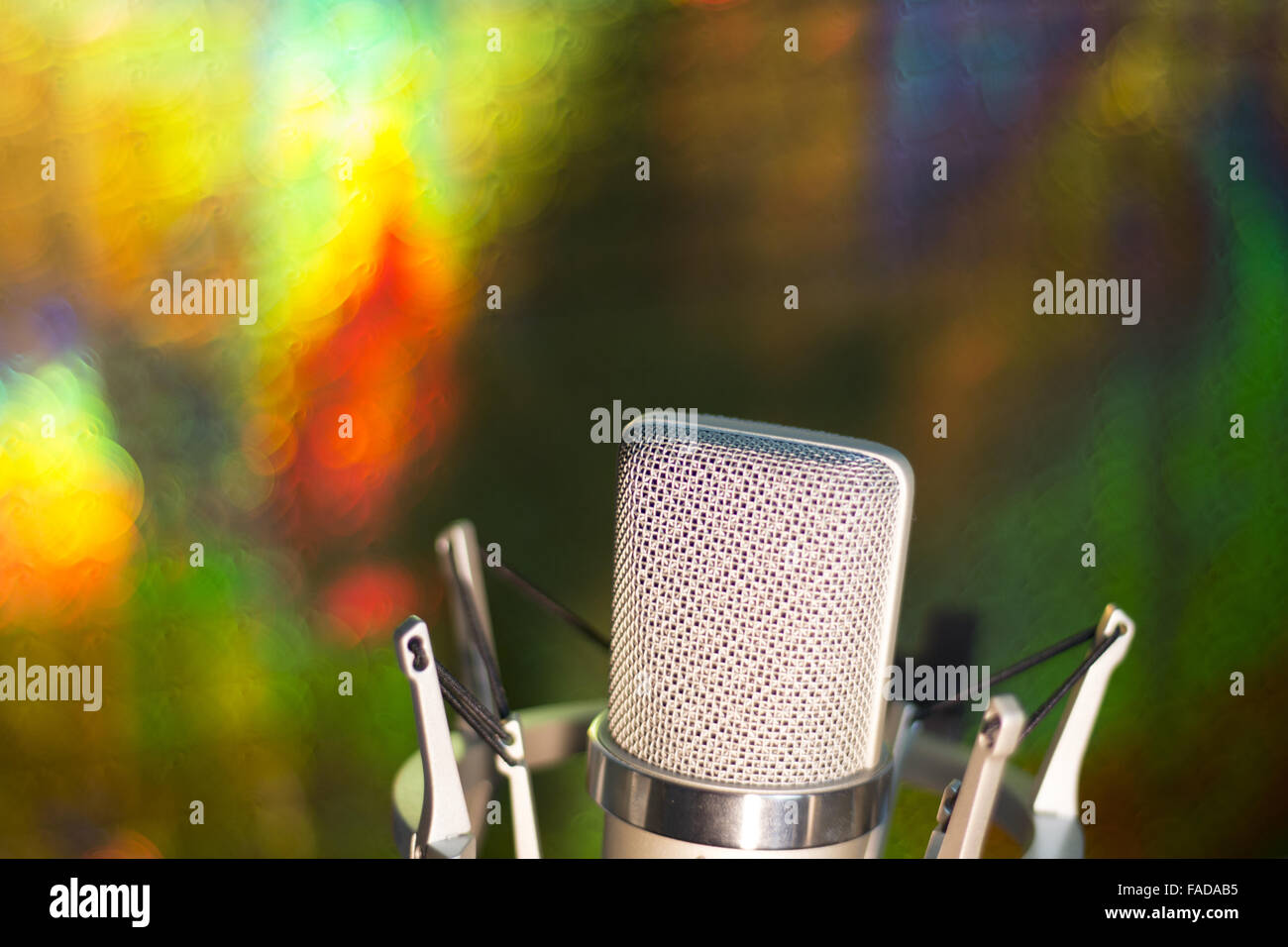 Audio recording vocal studio voice microphone with anti shock mount and ...