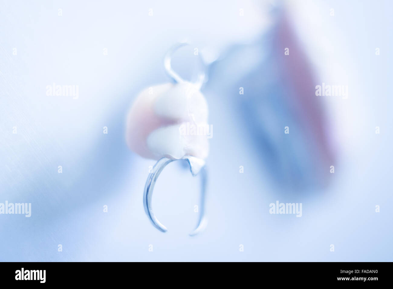 Removable partial denture metal and plastic dental false teeth ...