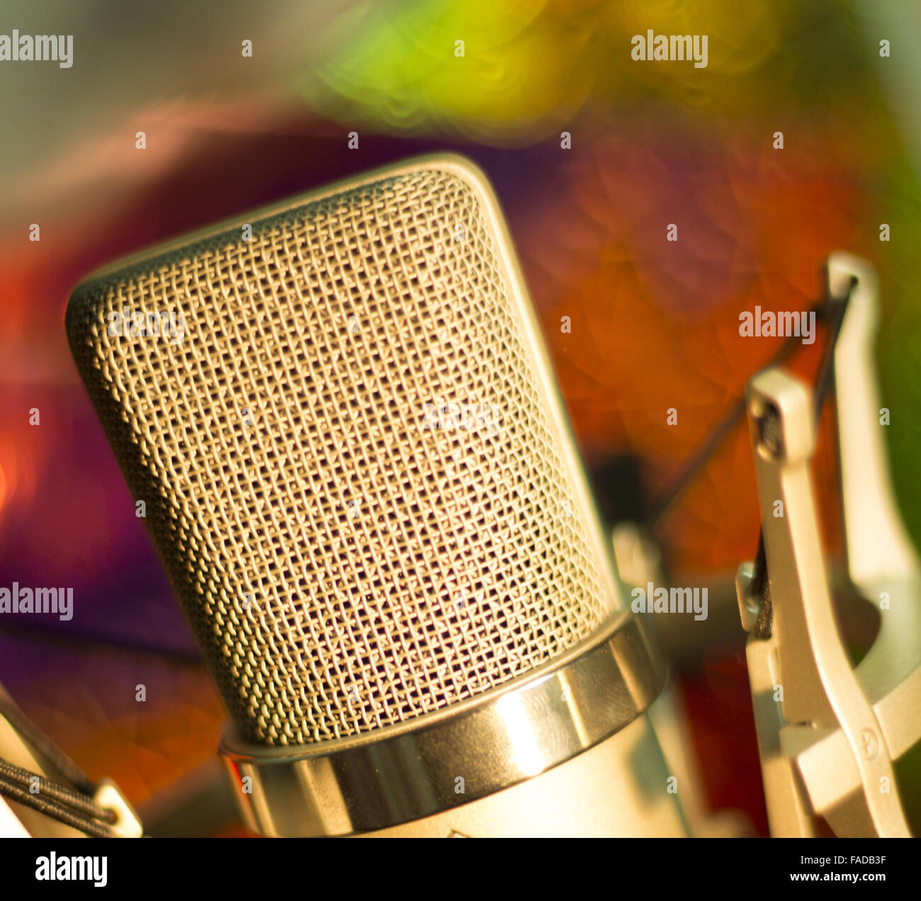 Audio recording vocal studio voice microphone with anti shock mount and ...