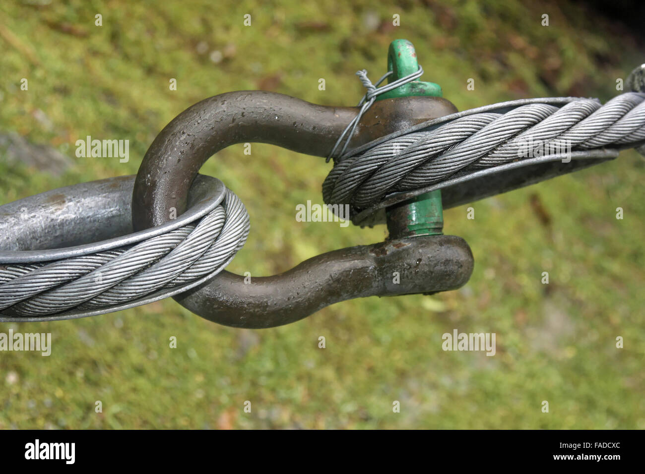 close up of shackle and wire Stock Photo - Alamy