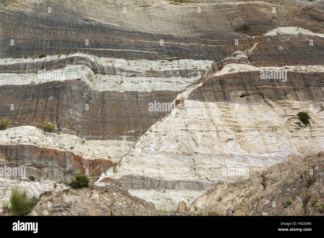 Fault line on the cliff face at Clifton, Hawke's Bay, New Zealand Stock ...