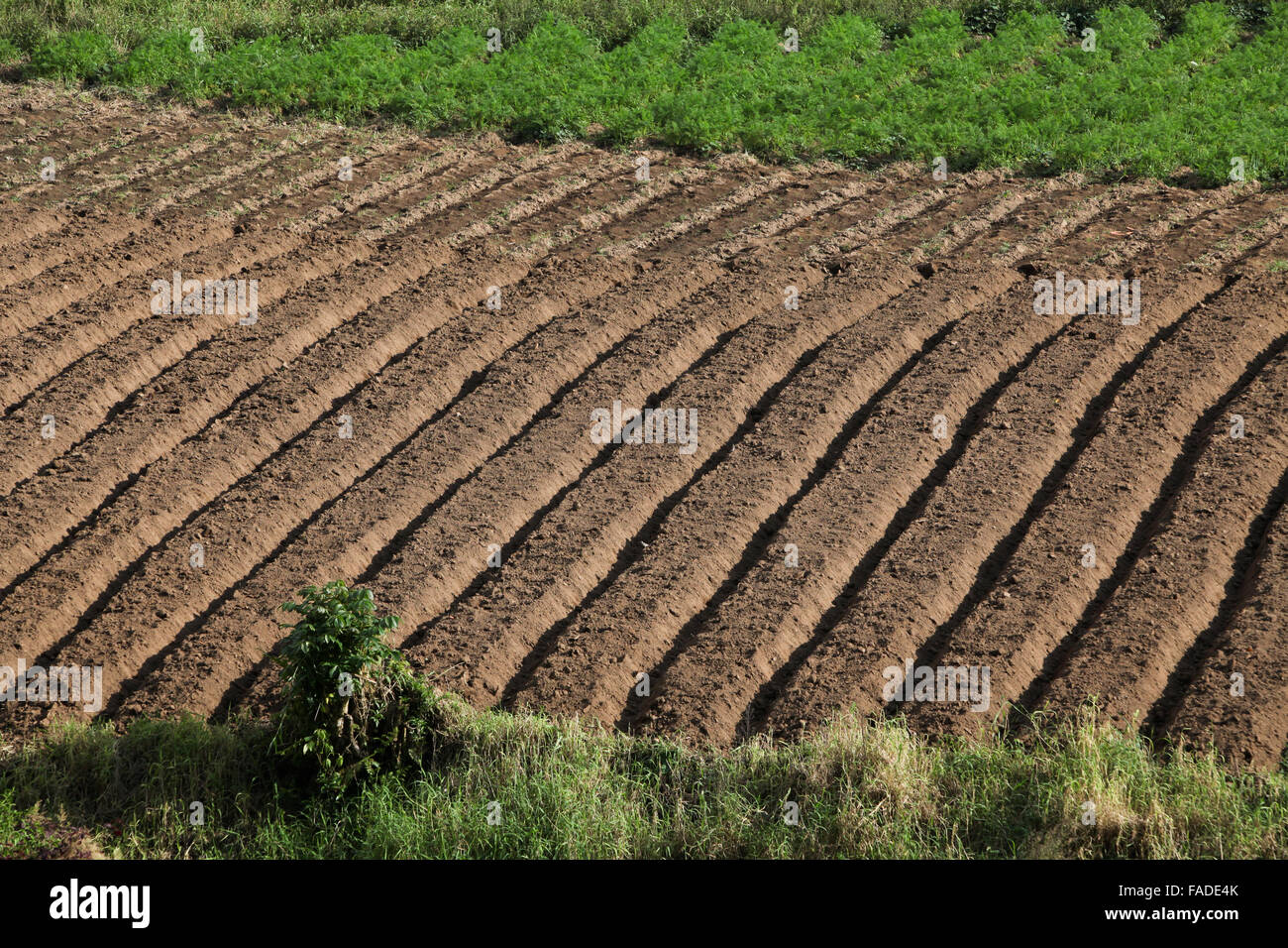 Farm field patterns hi-res stock photography and images - Alamy