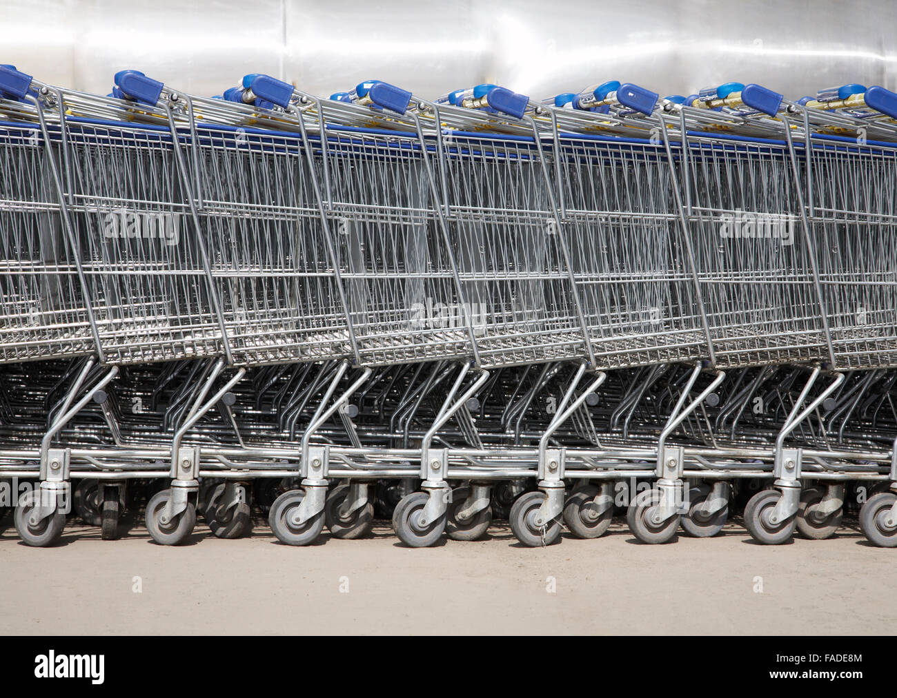 A lot of blue trolleys standing together Stock Photo - Alamy