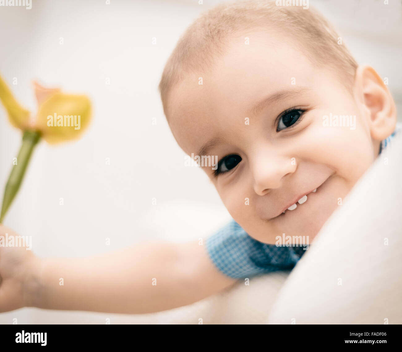 Little boy with a flower Stock Photo - Alamy
