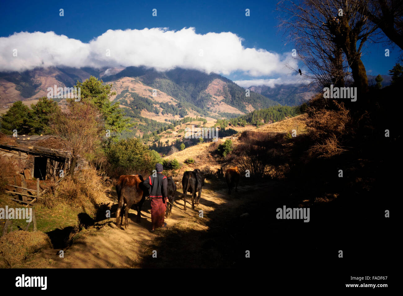 Tang valley bhutan hi-res stock photography and images - Alamy