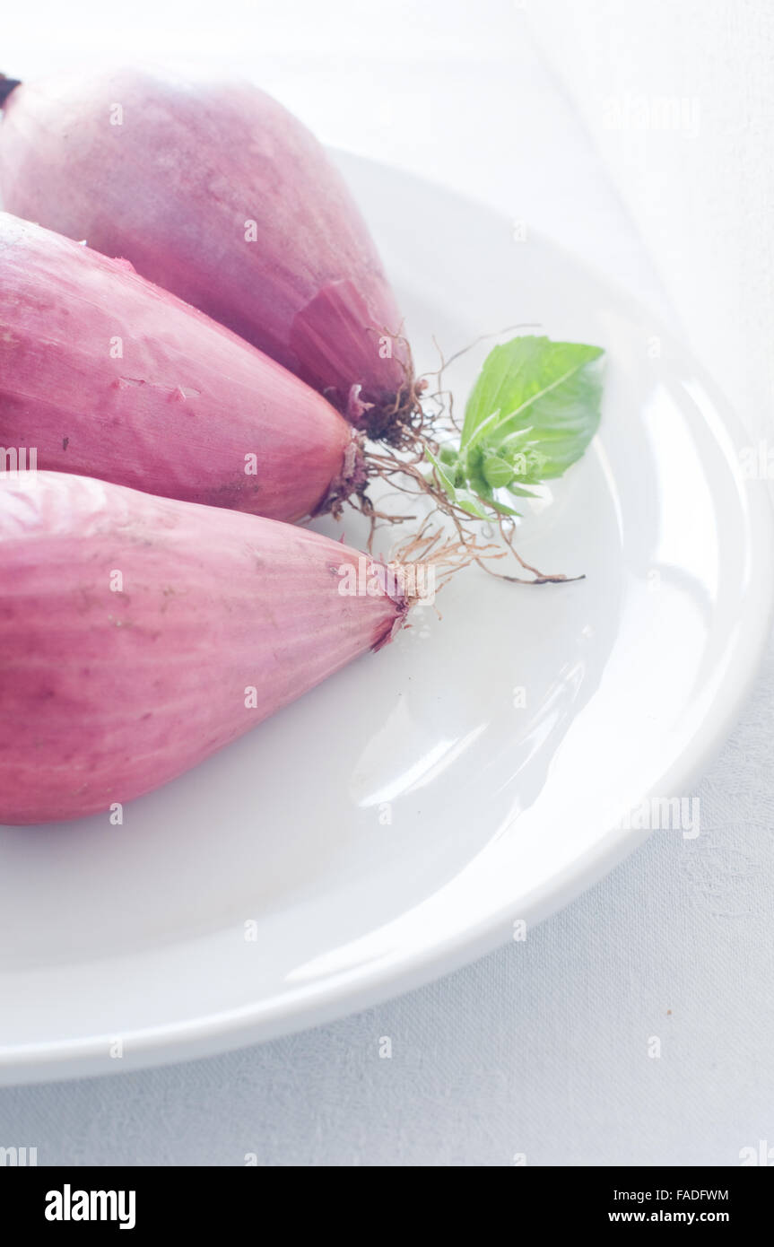 Group of spring onions hi-res stock photography and images - Alamy