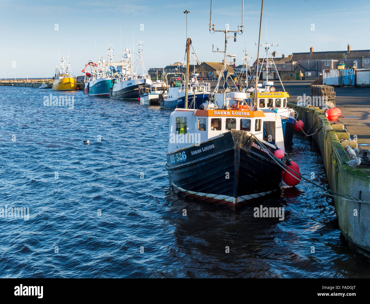 Fishing boats moored in Amble Harbour Northumberland Stock Photo - Alamy