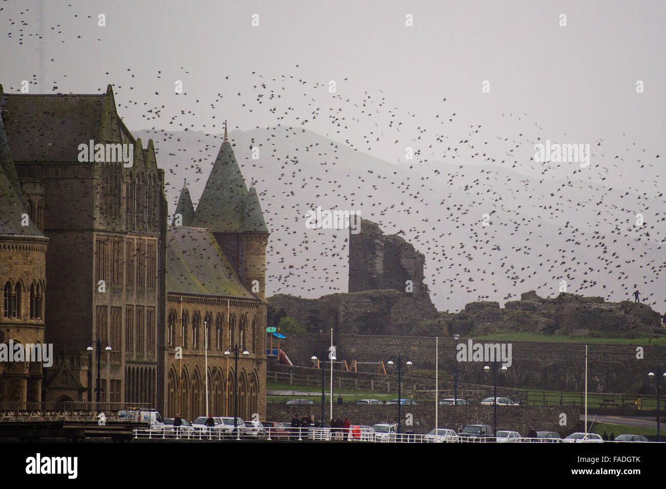 Aberystwyth Wales UK, Sunday 27 December 2015 A murmuration of ...