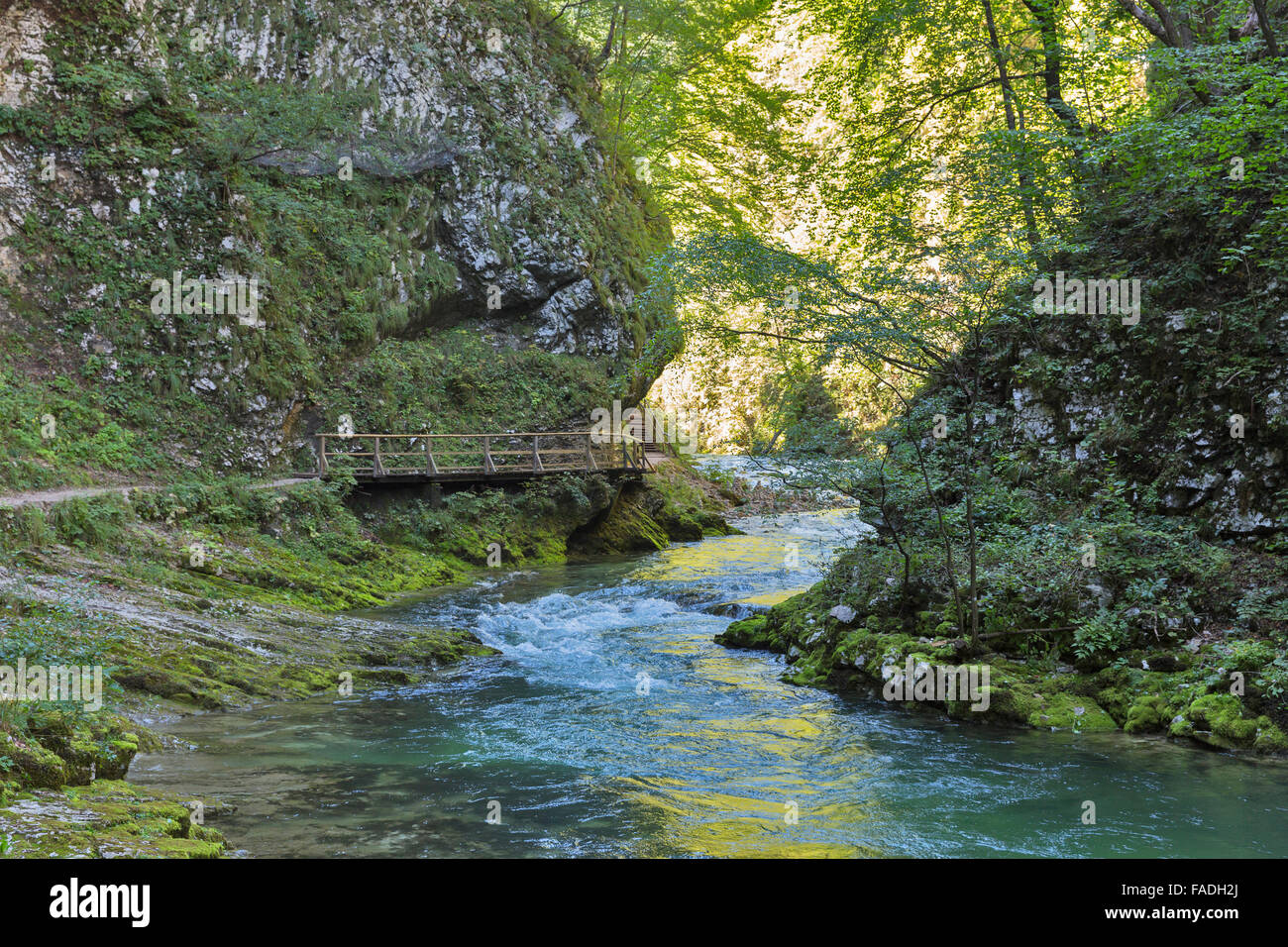 Vintgar gorge and wooden path with river Radovna flowing through it ...