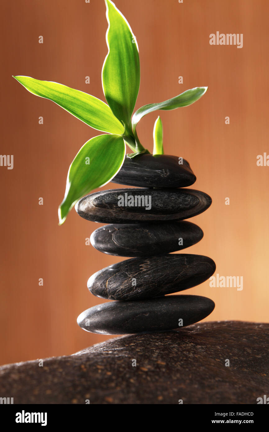 Stone and the lucky bamboo hi-res stock photography and images - Alamy