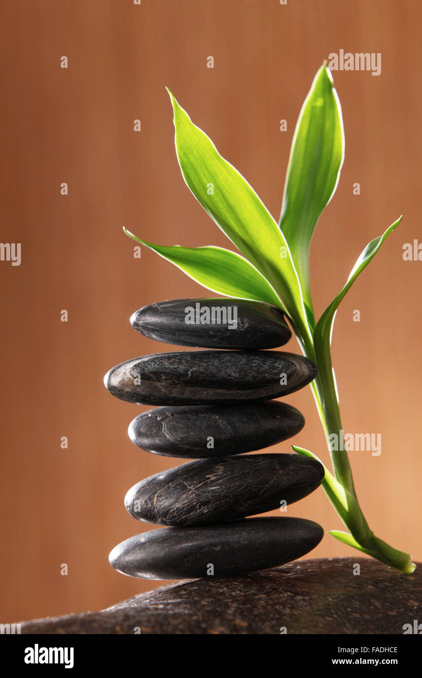 stack of the stone and bamboo leaf Stock Photo - Alamy